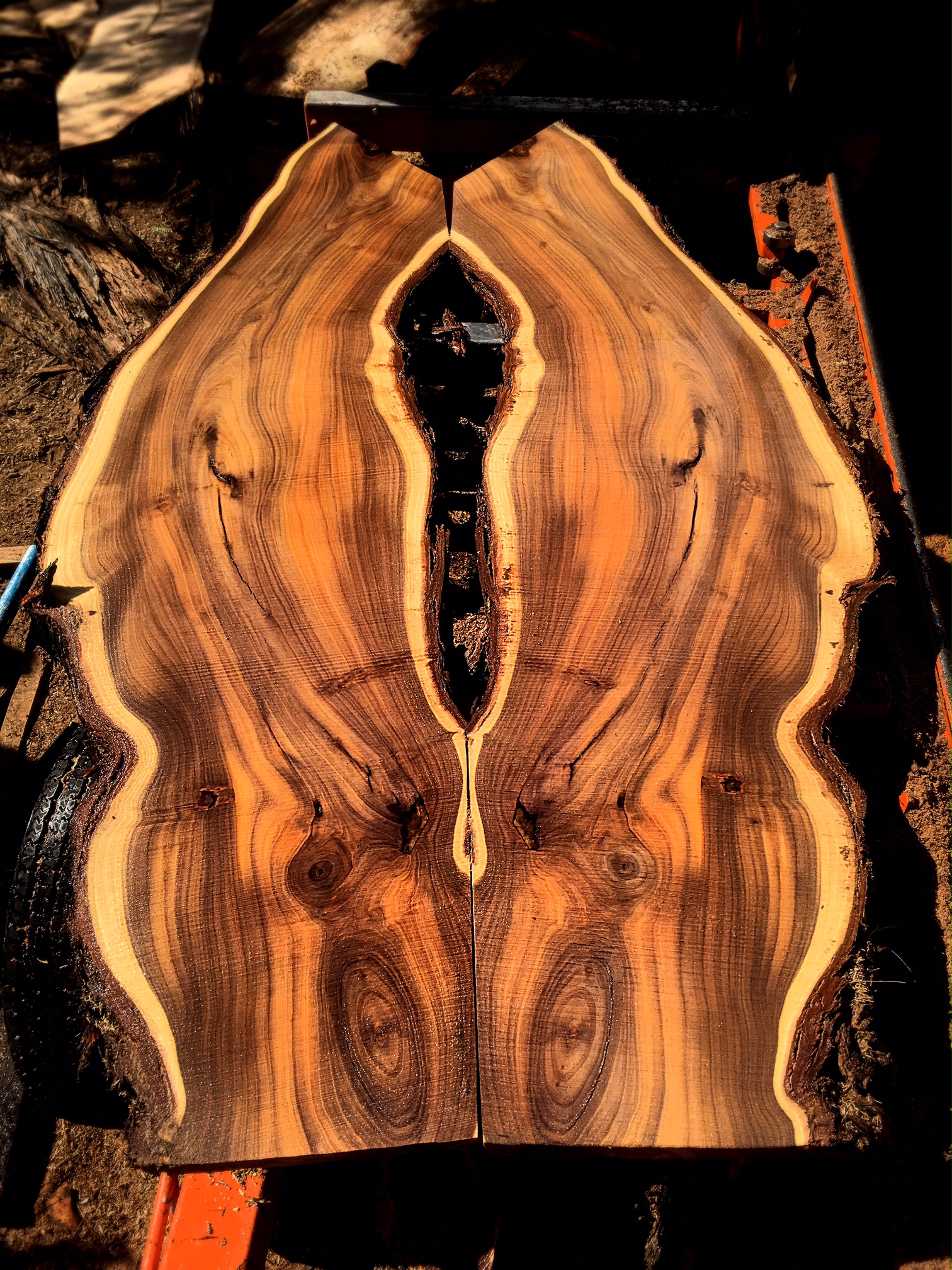 Gallery – Live Edge Wood Slabs Boards
